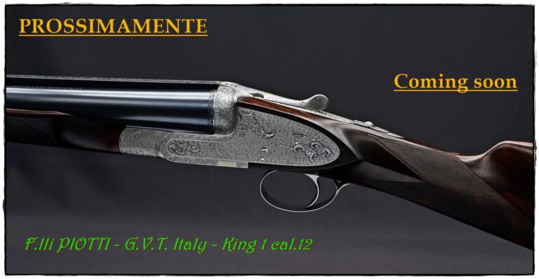 ZANOTTI Renato Serpentina cal.12 - Steniron